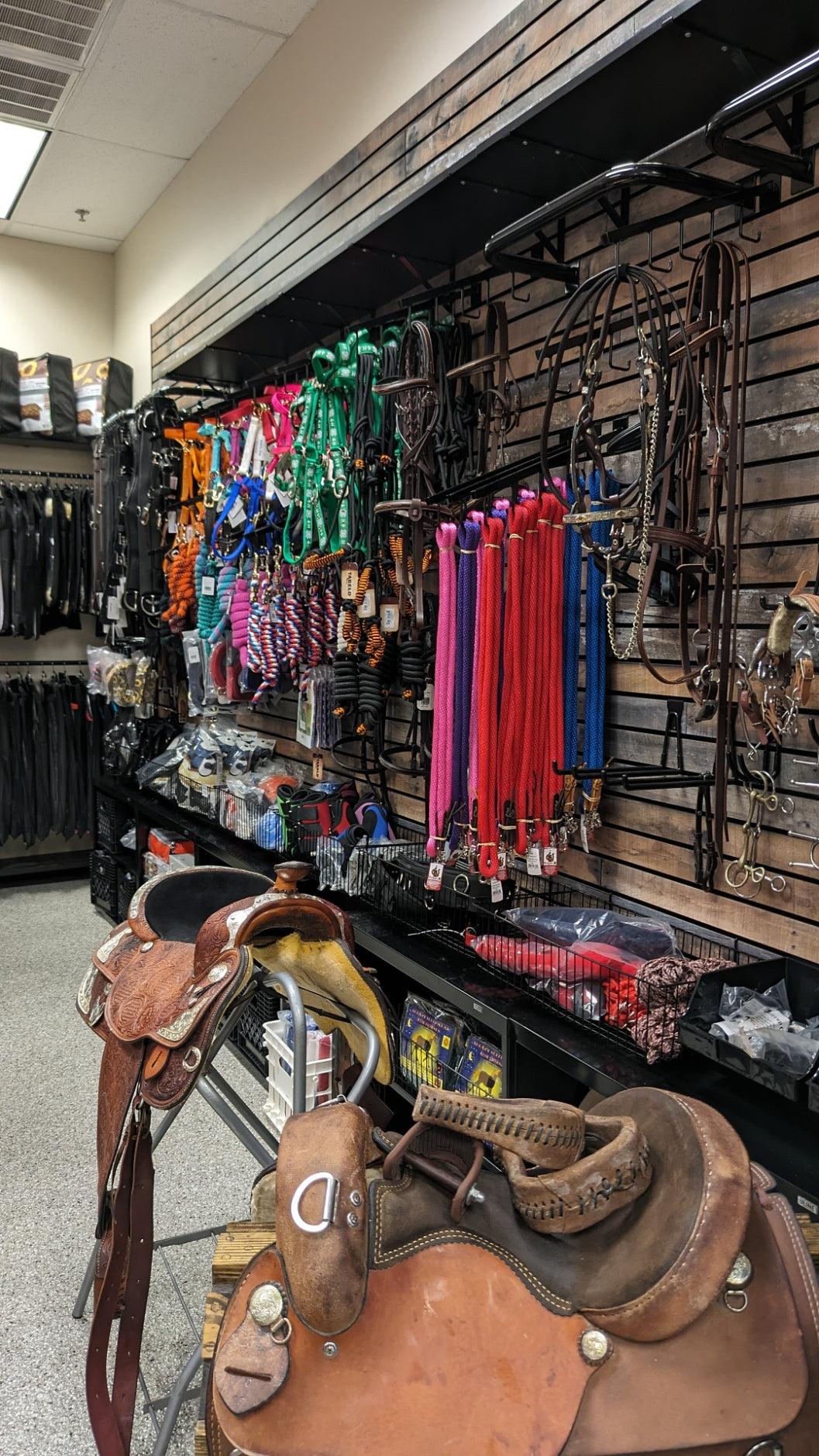 HORSE TACK – Knightdale Horse Sports