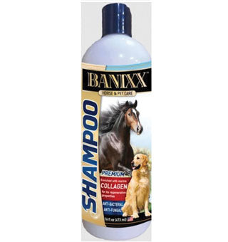 Banixx® Medicated Shampoo With Marine Collagen 16 oz – Knightdale Horse ...
