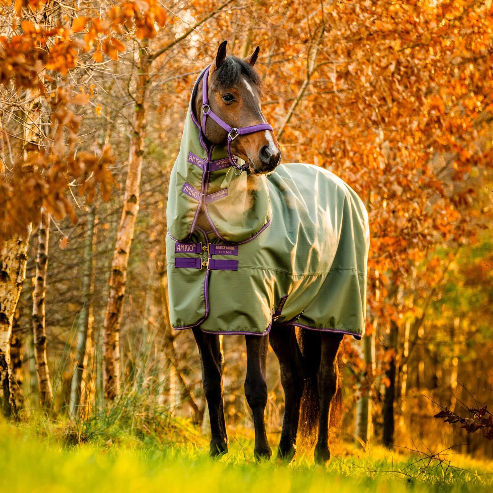 Horseware® Amigo® Hero Ripstop Plus Lite (0g Light) – Knightdale Horse ...